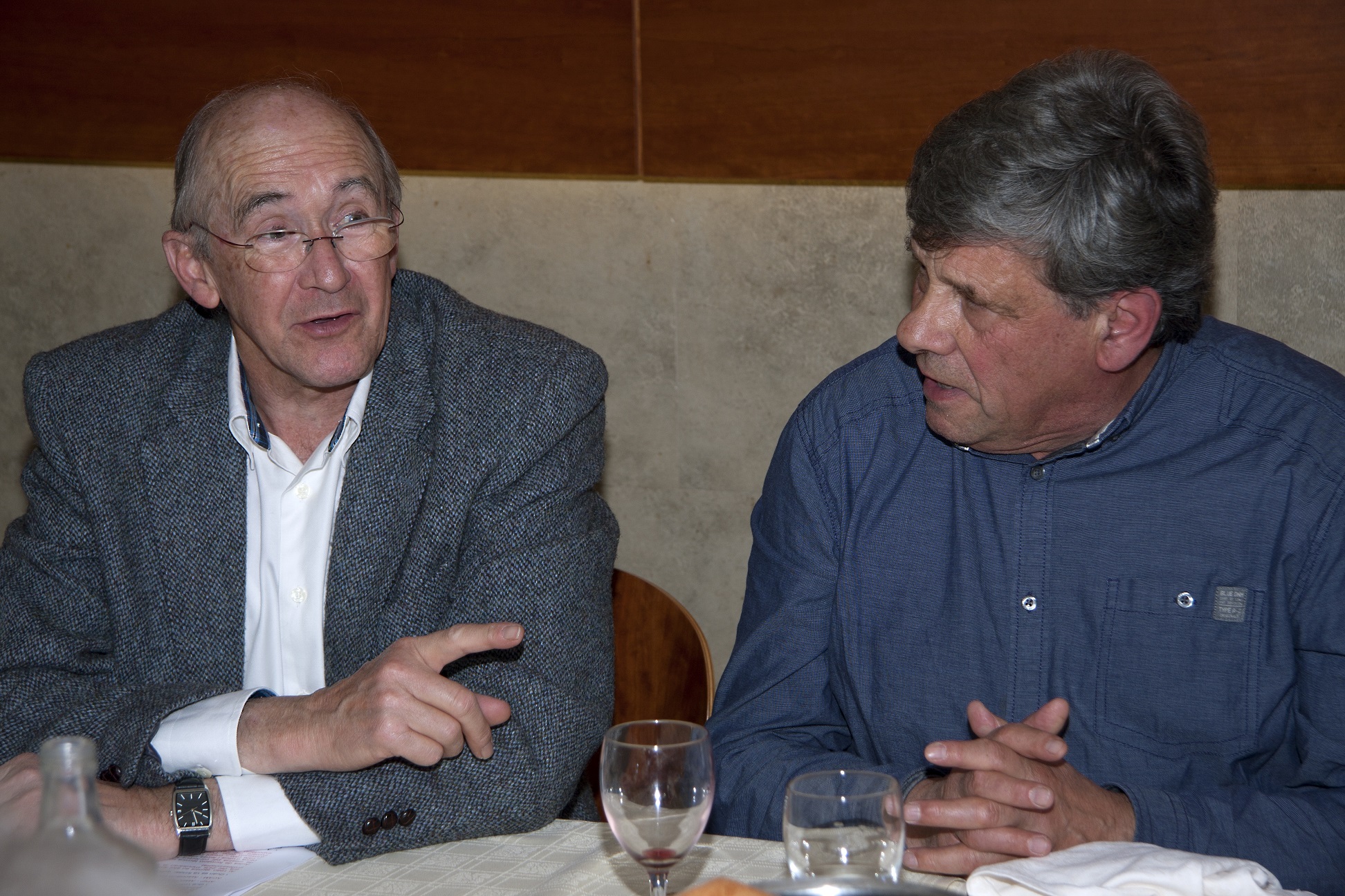 Josep Ricou, president de la Fundació Apip-Acam al Rotary de Terrassa ...
